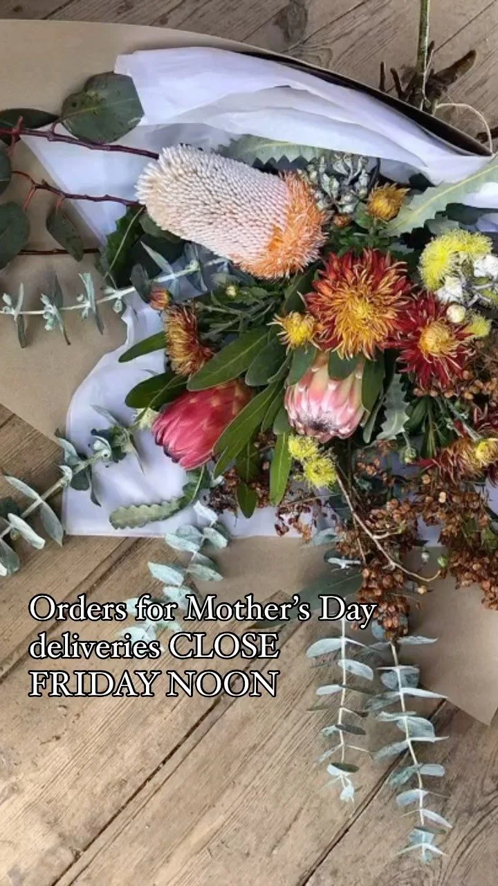 GALLERY — Harvest Studio