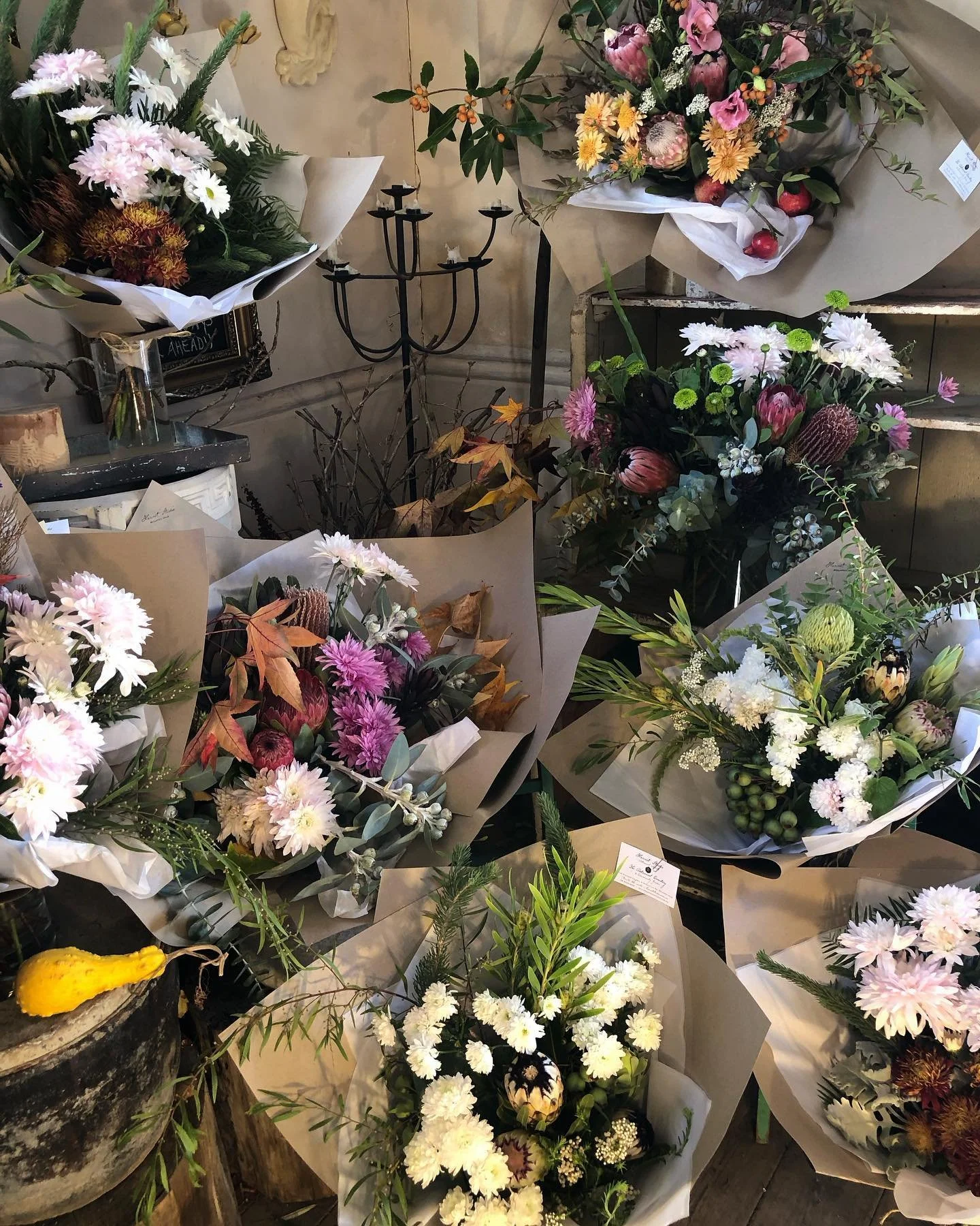 GALLERY — Harvest Studio