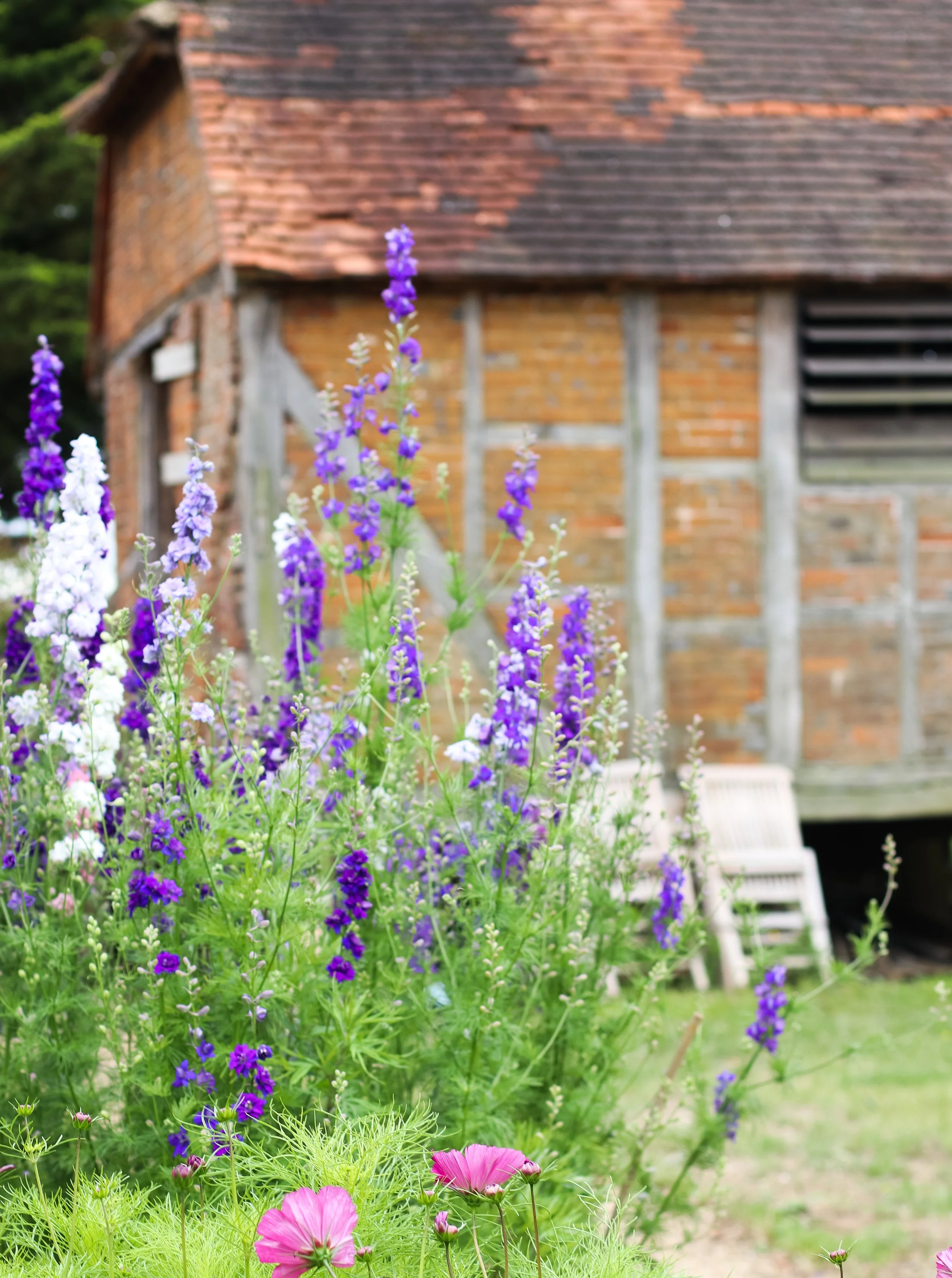 Flowerfields | English Foliage & Flower Farm