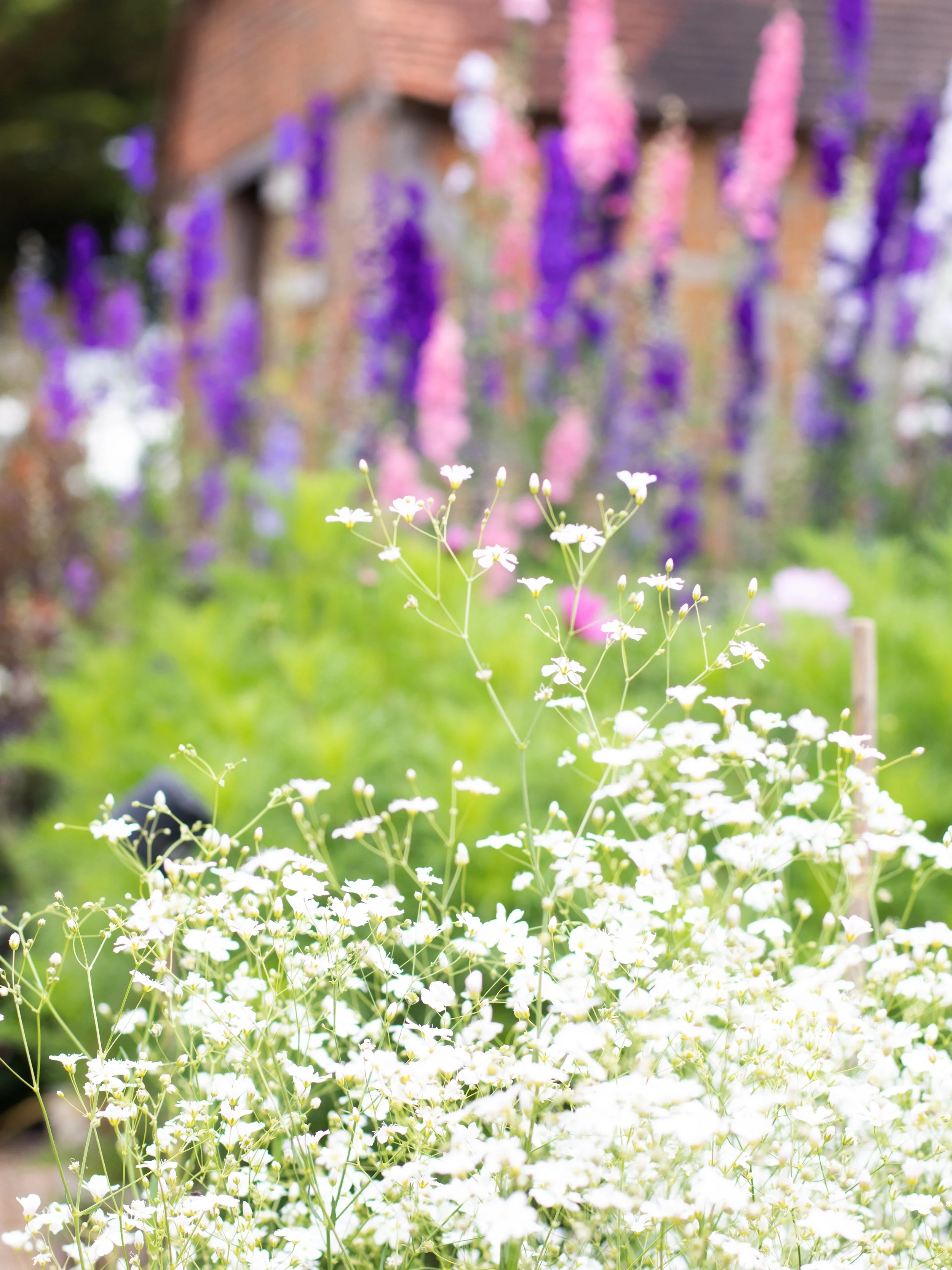Flowerfields | English Foliage & Flower Farm