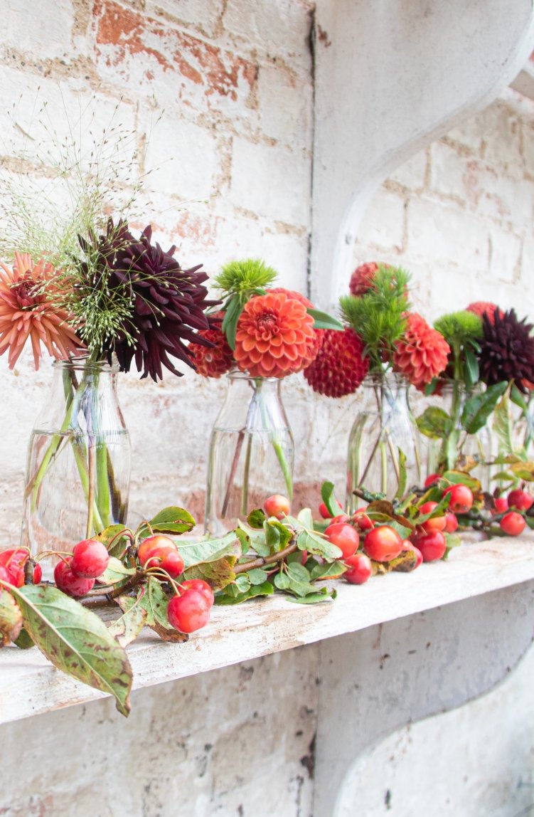 Flowerfields | English Foliage & Flower Farm
