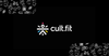 CultFit X HRX program — Eleve Media - Influencer Marketing Solutions