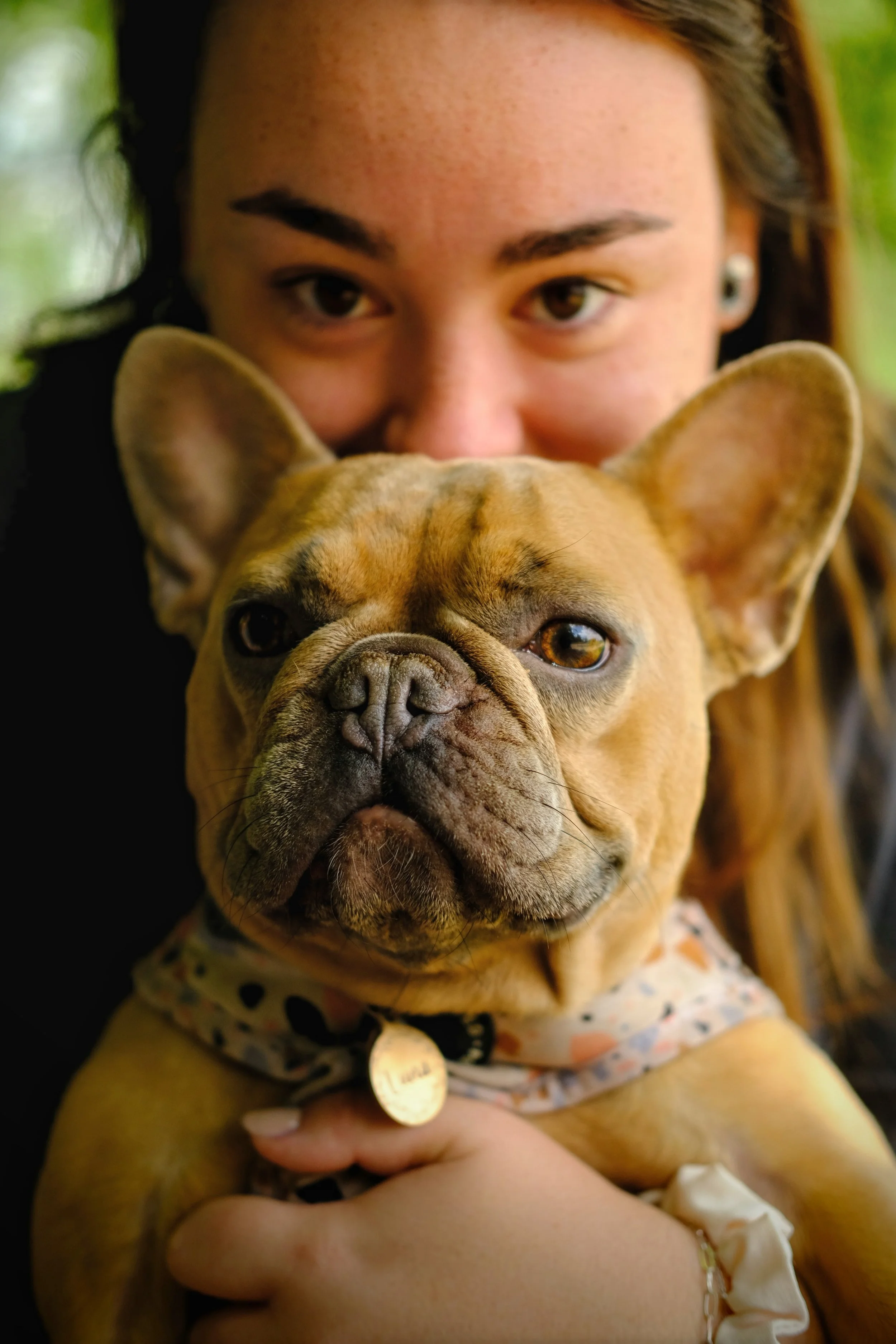 Diggle Dog Photography | Pet Photography Made Fun & Easy