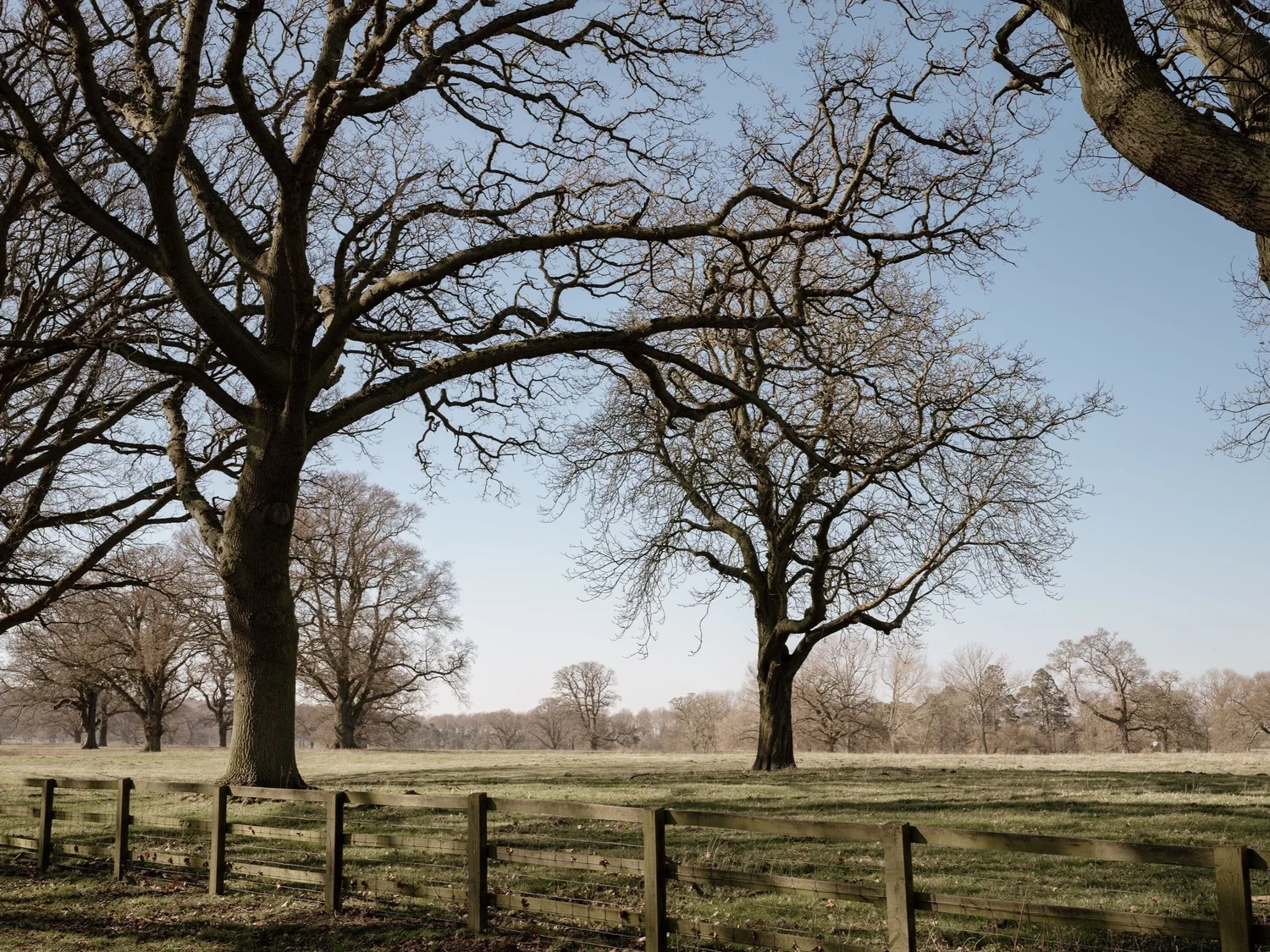 Aswarby Rectory | Country House Wedding Venue
