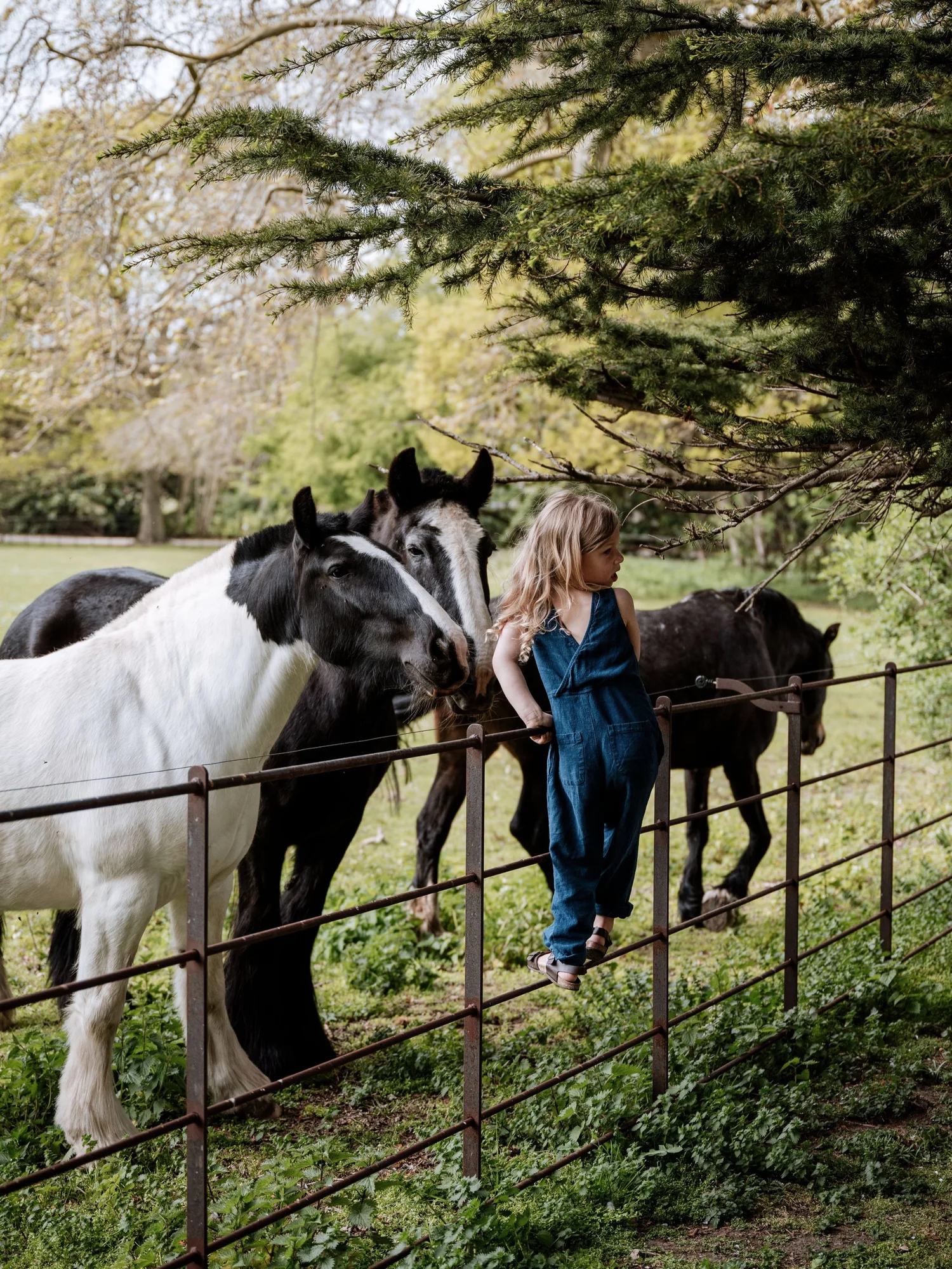 Our Story — Aswarby Rectory