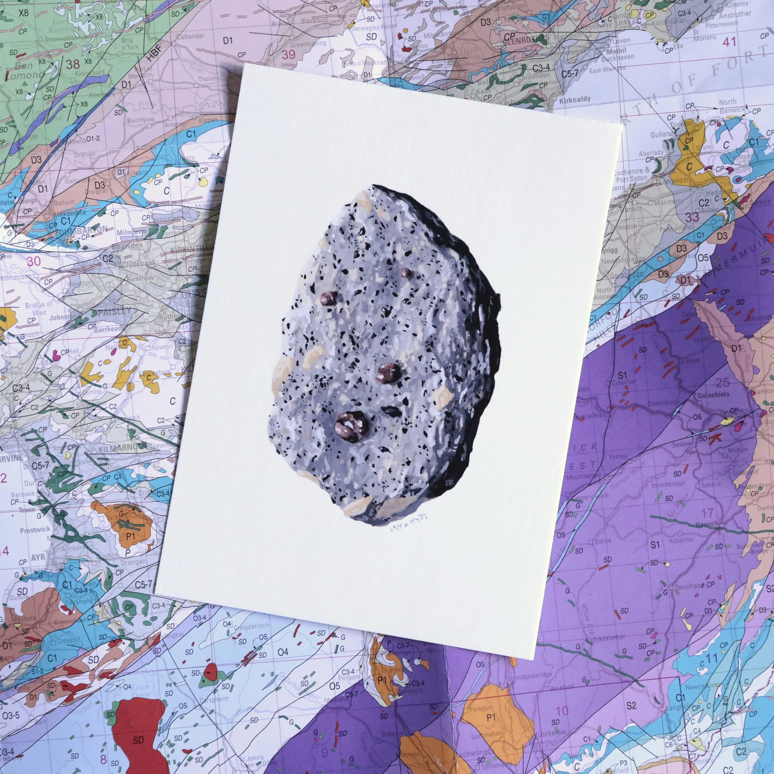 Crinoid limestone art print — Rocks on Paper