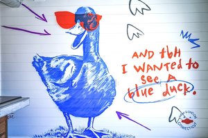 The Blue Duck