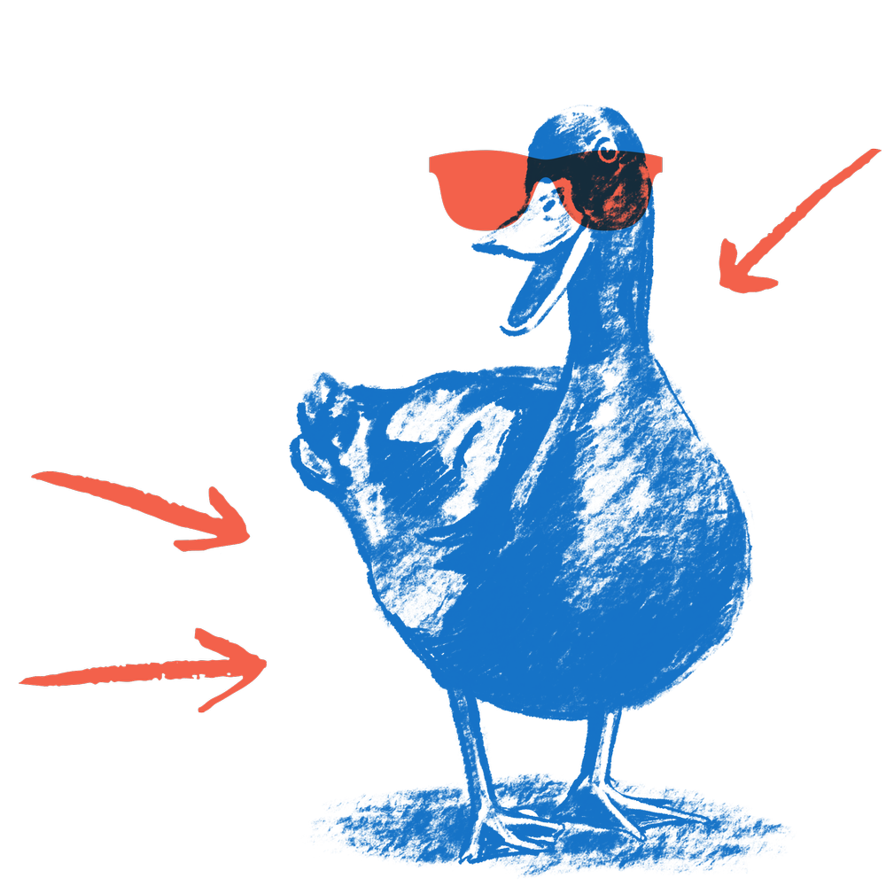 The Blue Duck