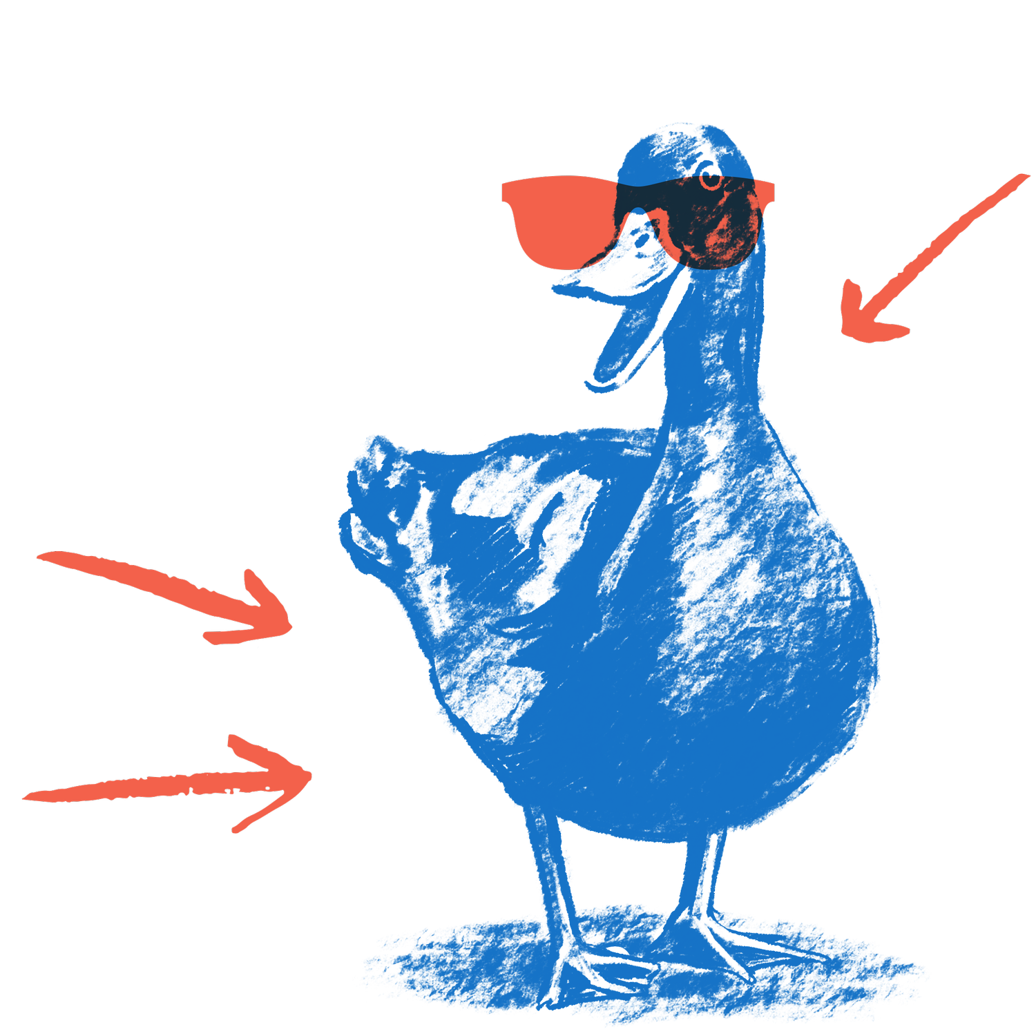 The Blue Duck
