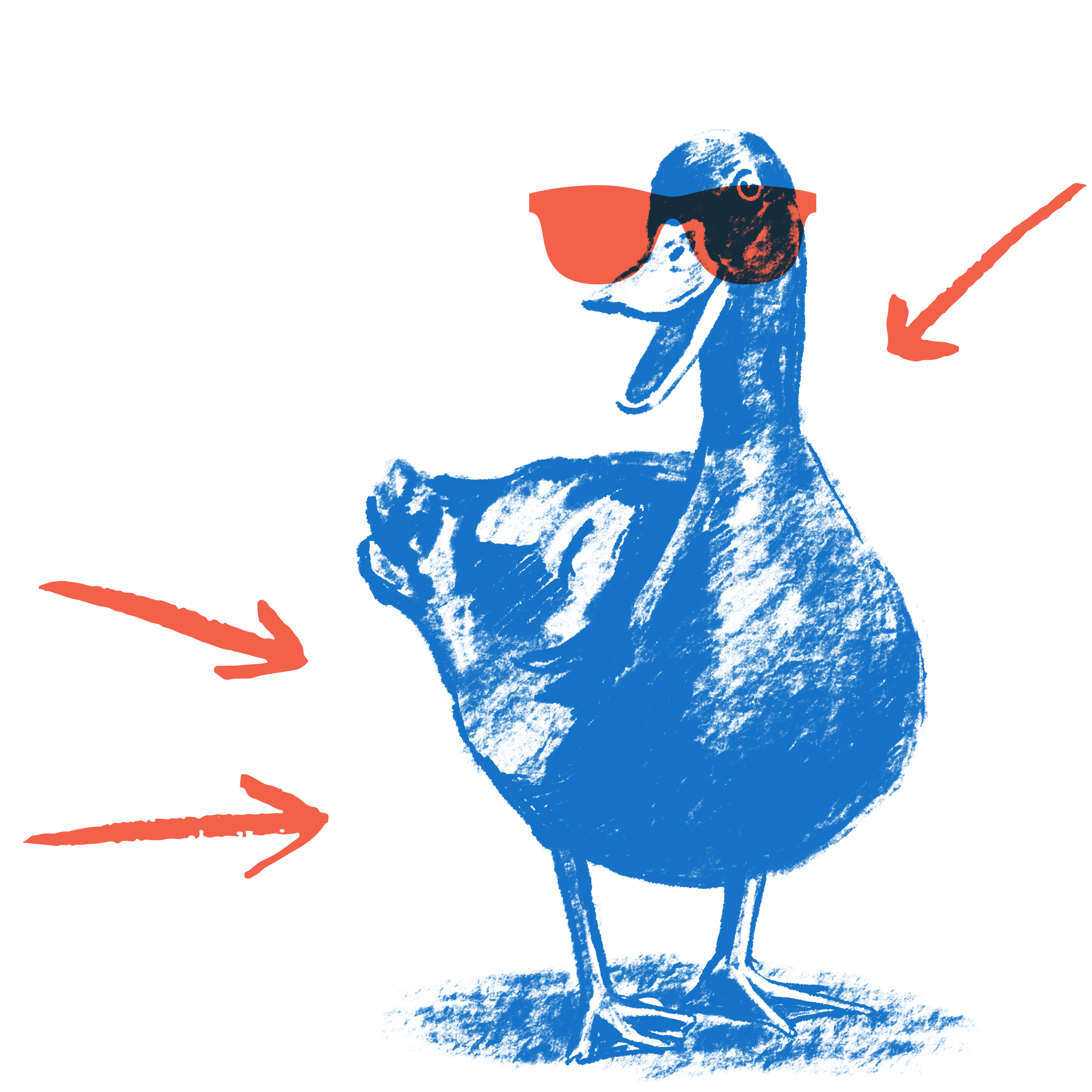 The Blue Duck