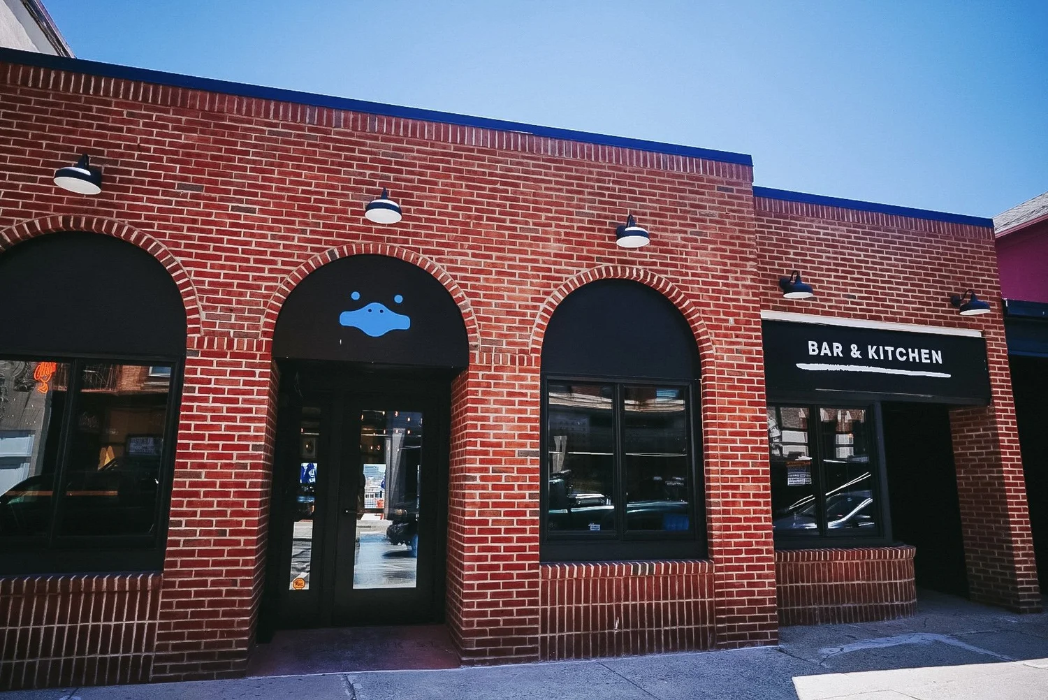 The Blue Duck
