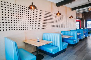 The Blue Duck