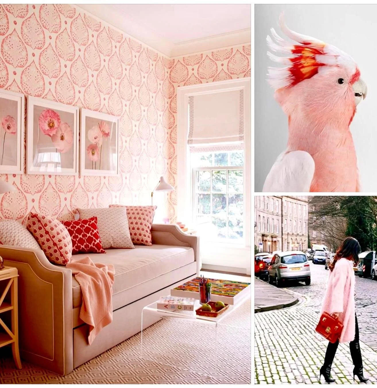 Christine Conte Interiors