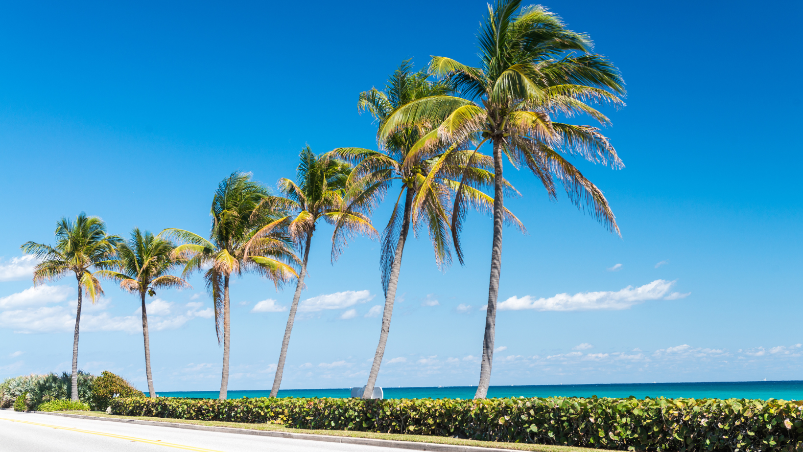 Meetings | SLAA Palm Beach County — SLAAPB.ORG
