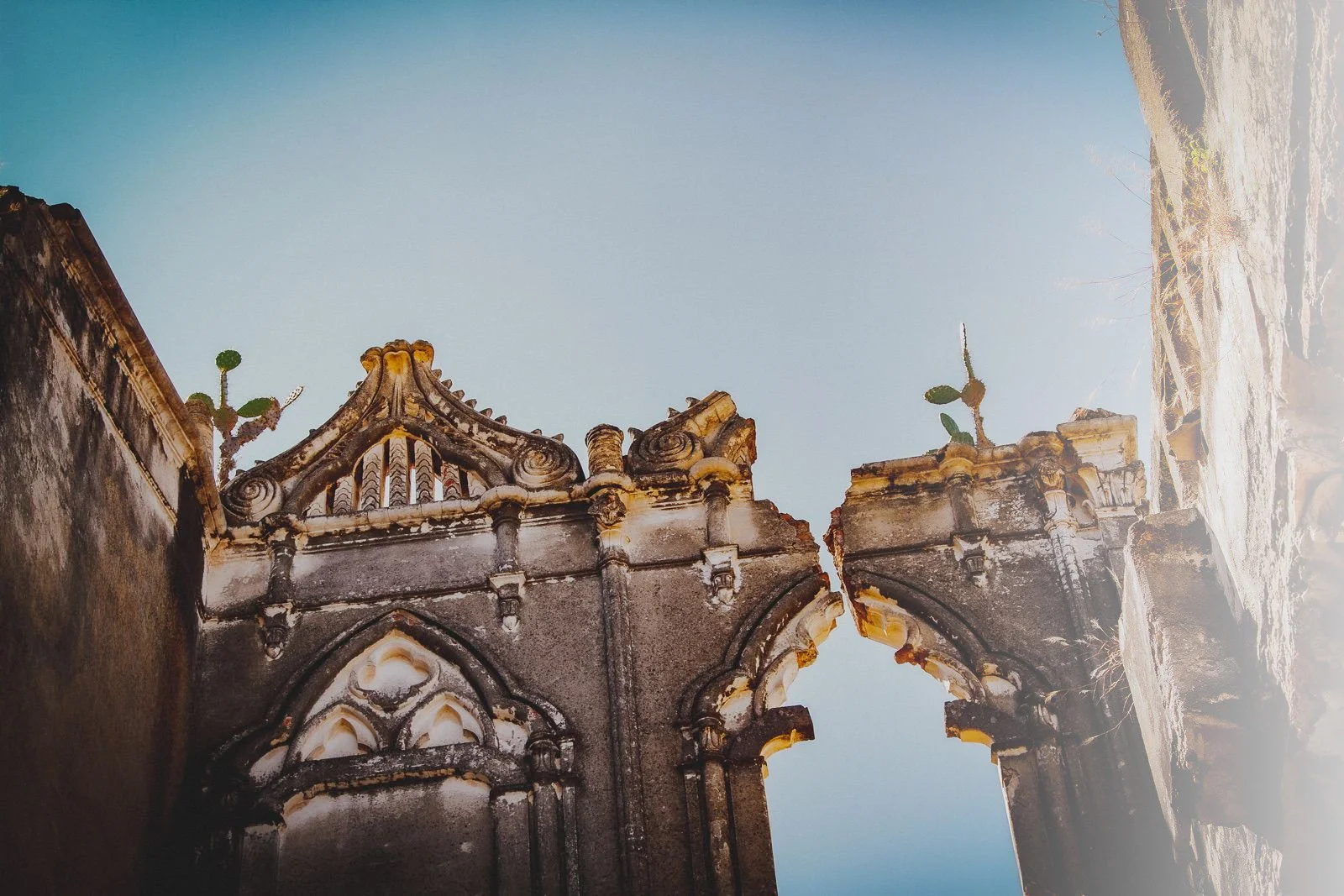 Our Story — Lobos 1707 Premium Tequila