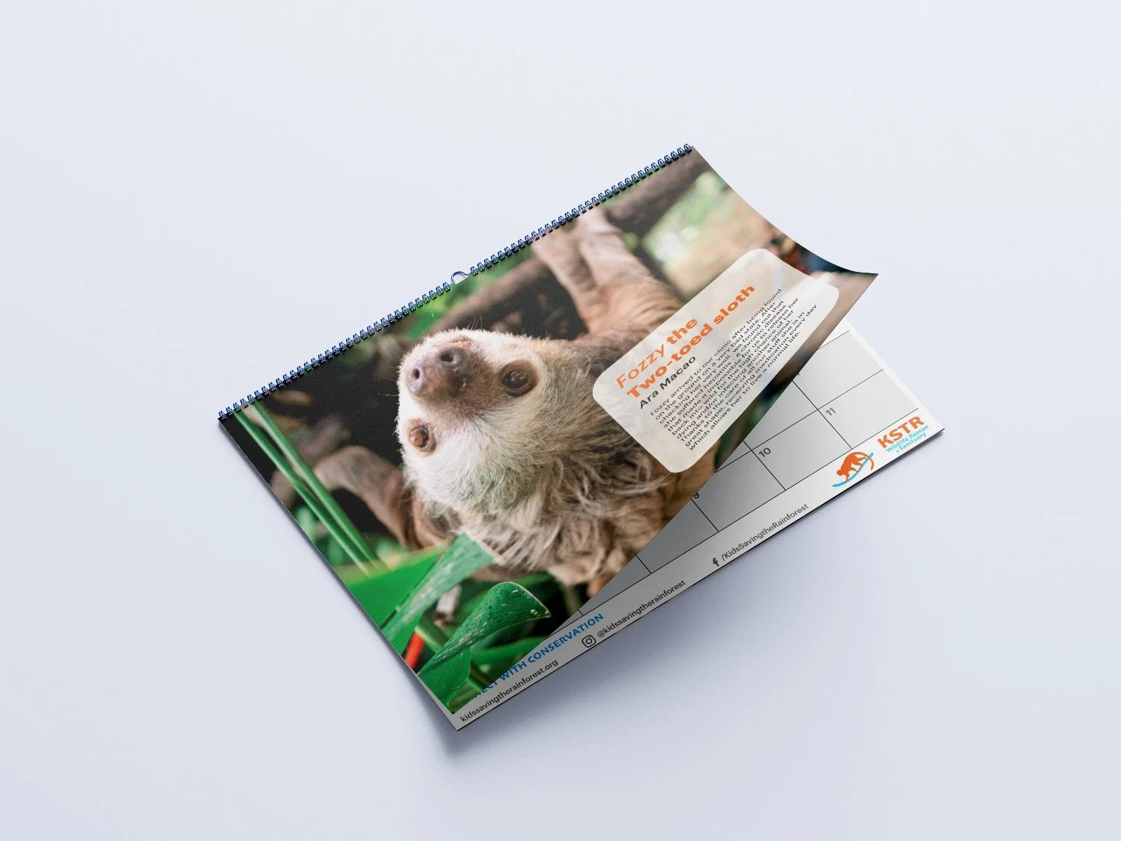 Store | KSTR WILDLIFE RESCUE