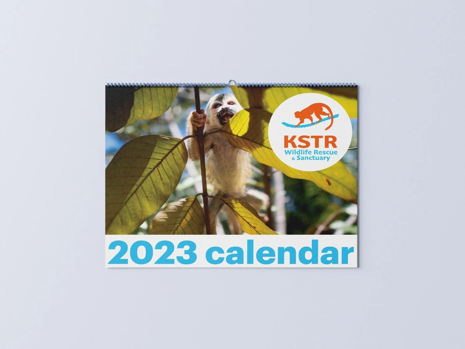 Store | KSTR WILDLIFE RESCUE