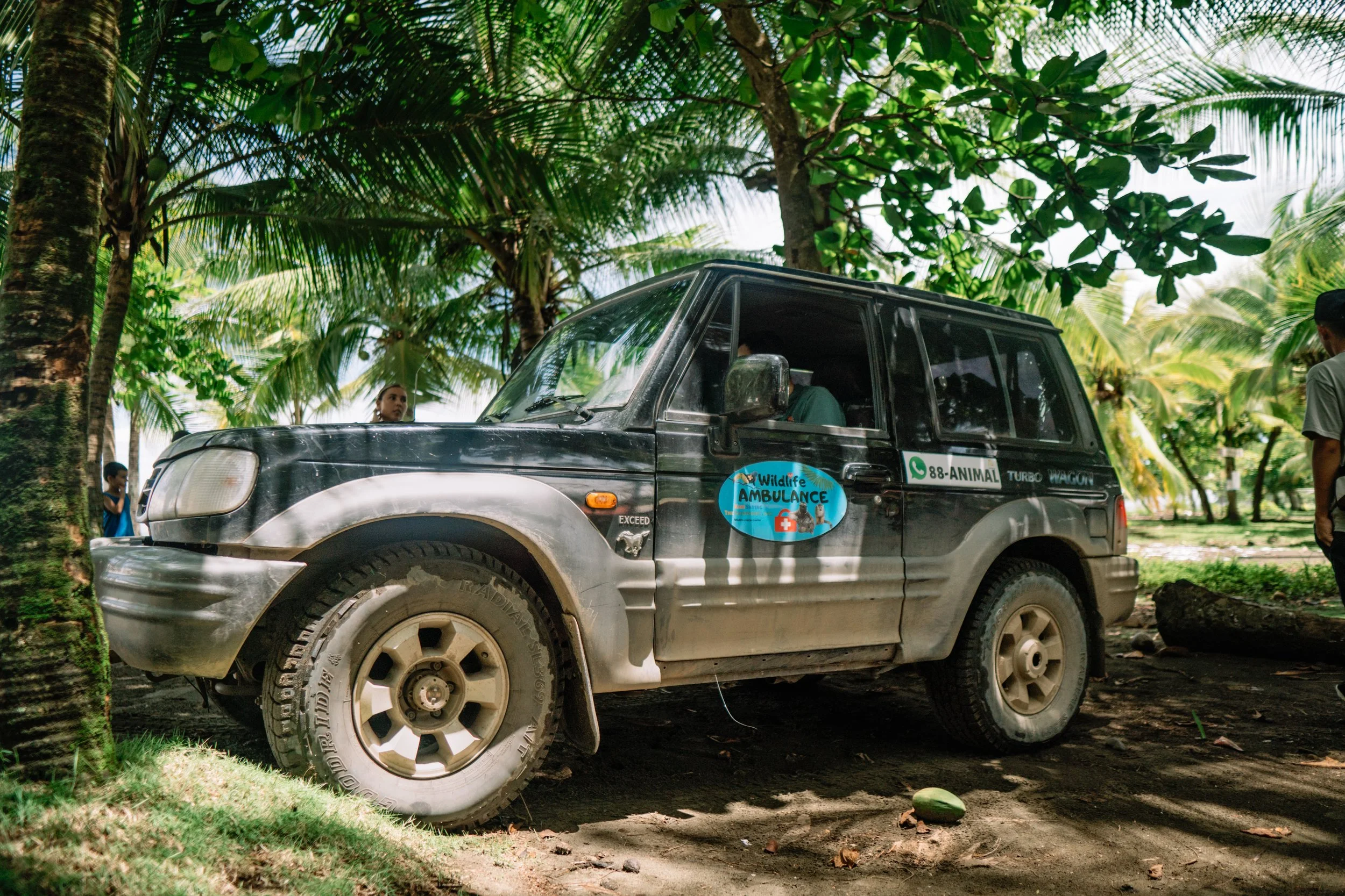 KSTR WILDLIFE RESCUE