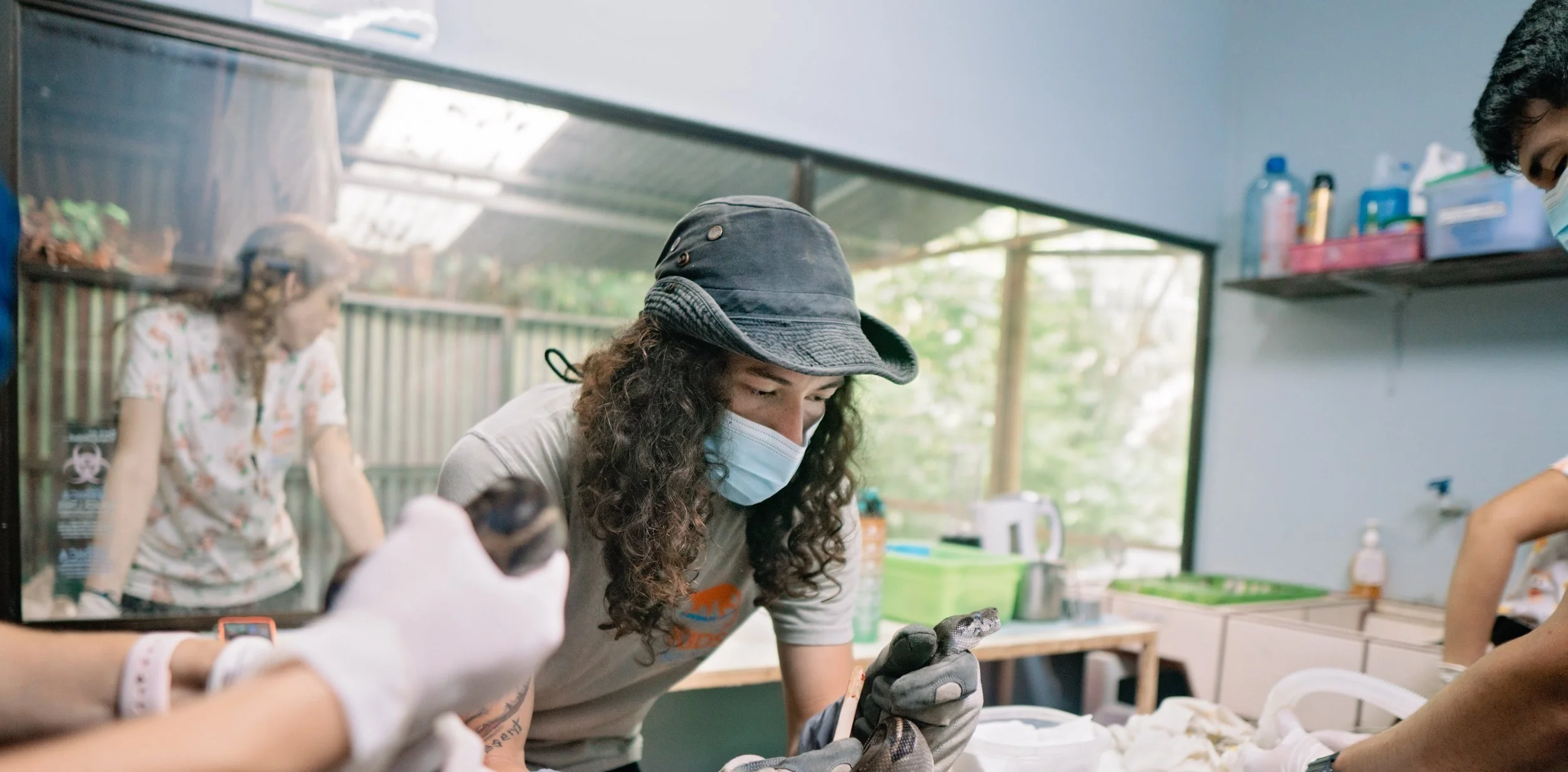 Study Abroad in Costa Rica | KSTR WILDLIFE RESCUE