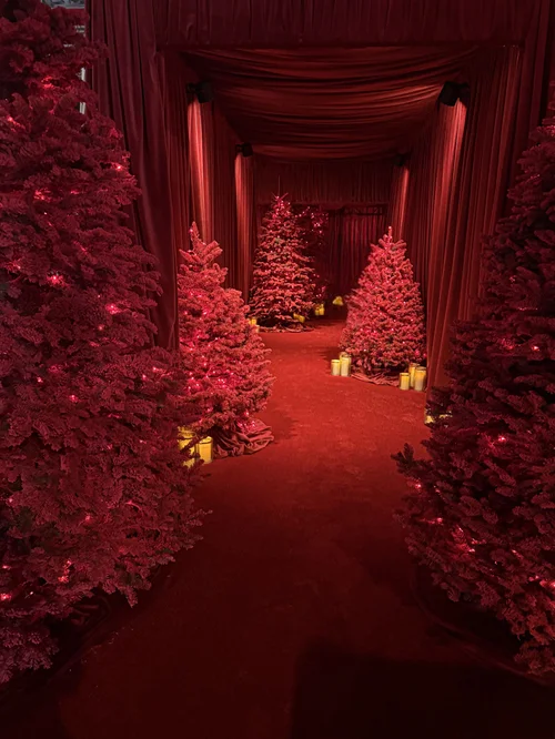 Christmas Colors- Holiday Palettes & Professional Decorating Services ...