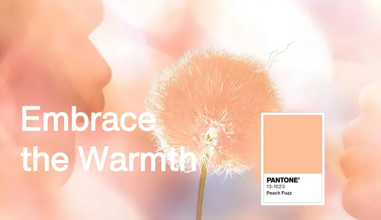 3 Creative Ways to Use Pantone's Peach Fuzz in Event & Decor Design ...