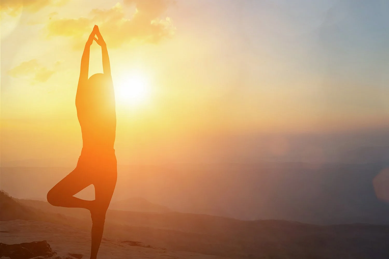 Somatic Therapy