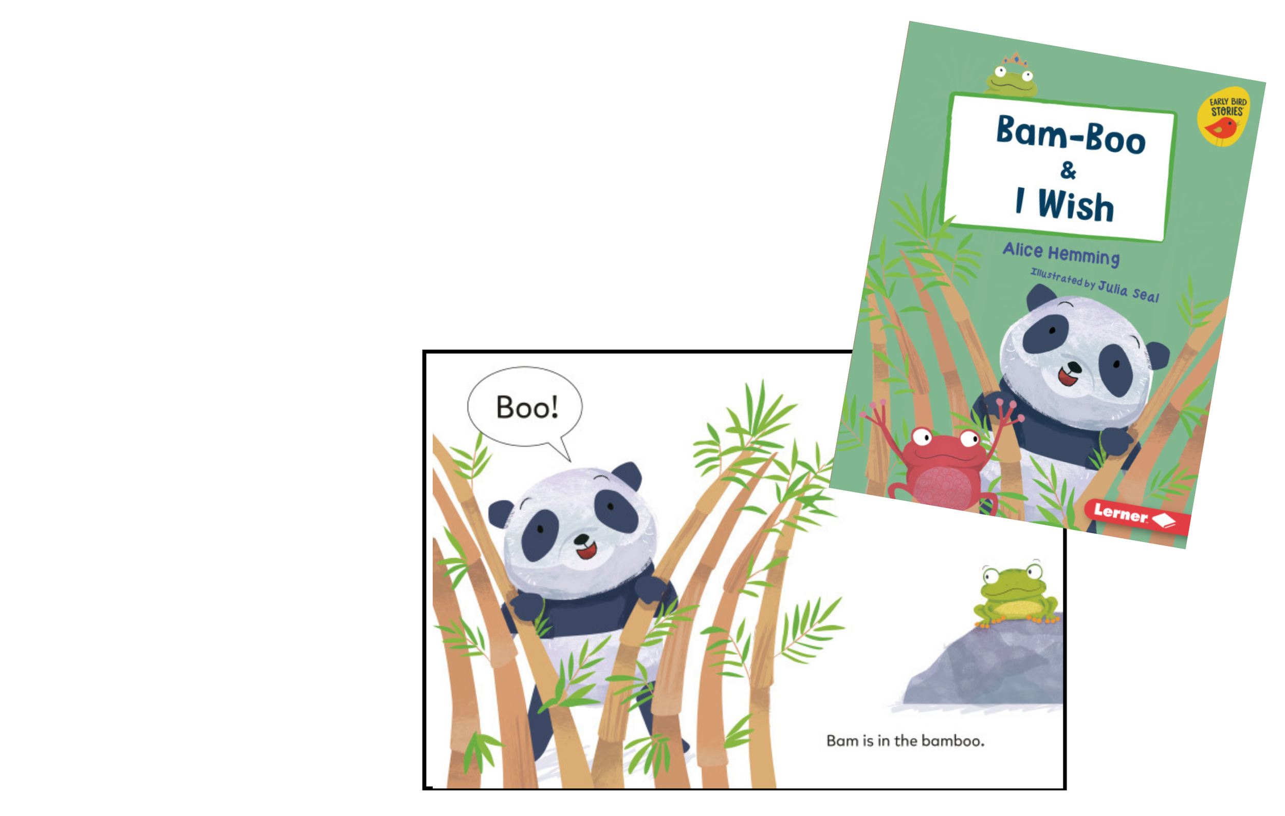 Decodable Books — Lerner Knows Literacy