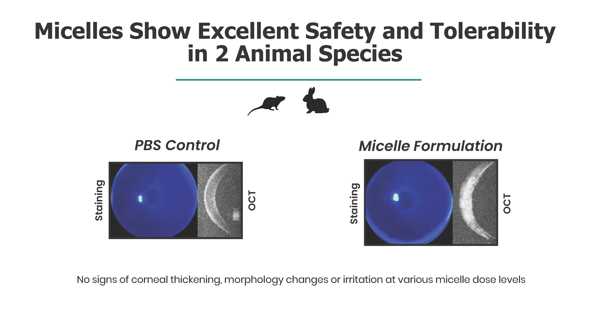 Why is the Binding Moiety on the OptimEyes Micelle so Important? — 20 ...