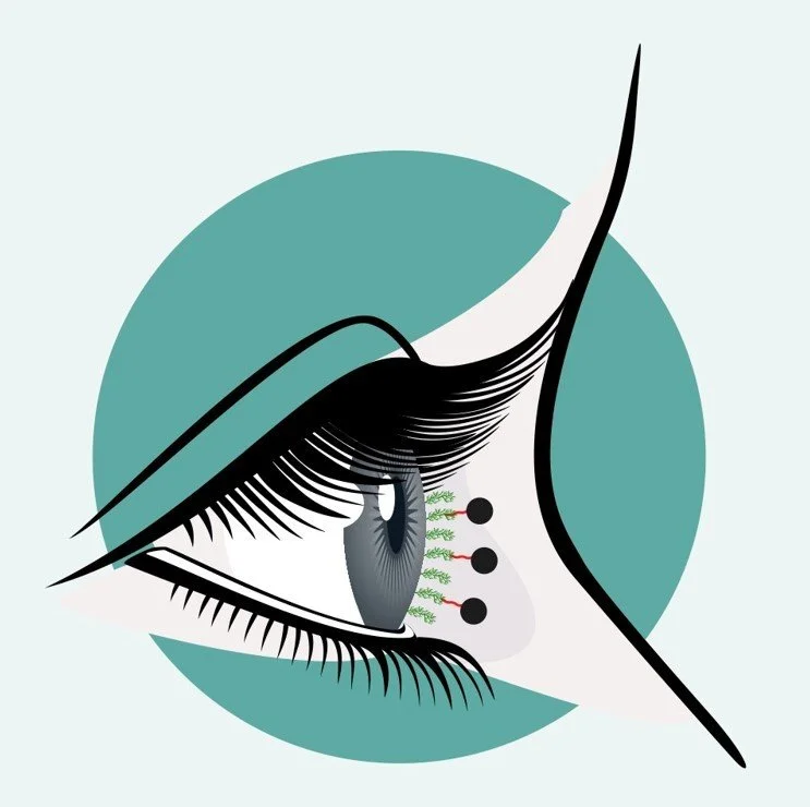 Our Drops Can Do Better! — 20|20 OptimEyes Technologies - Biotechnology ...