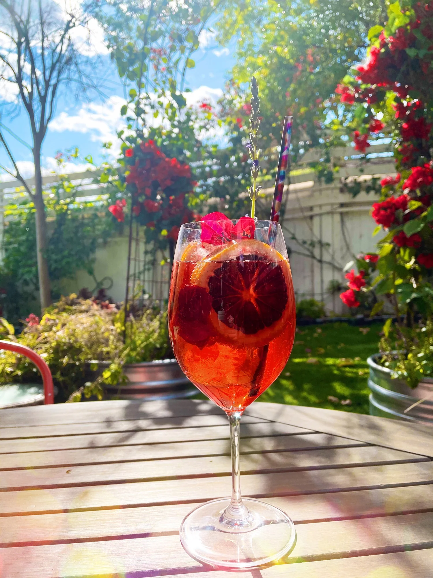 Springtime Spritz — Drinking with Chickens- craft cocktail recipes