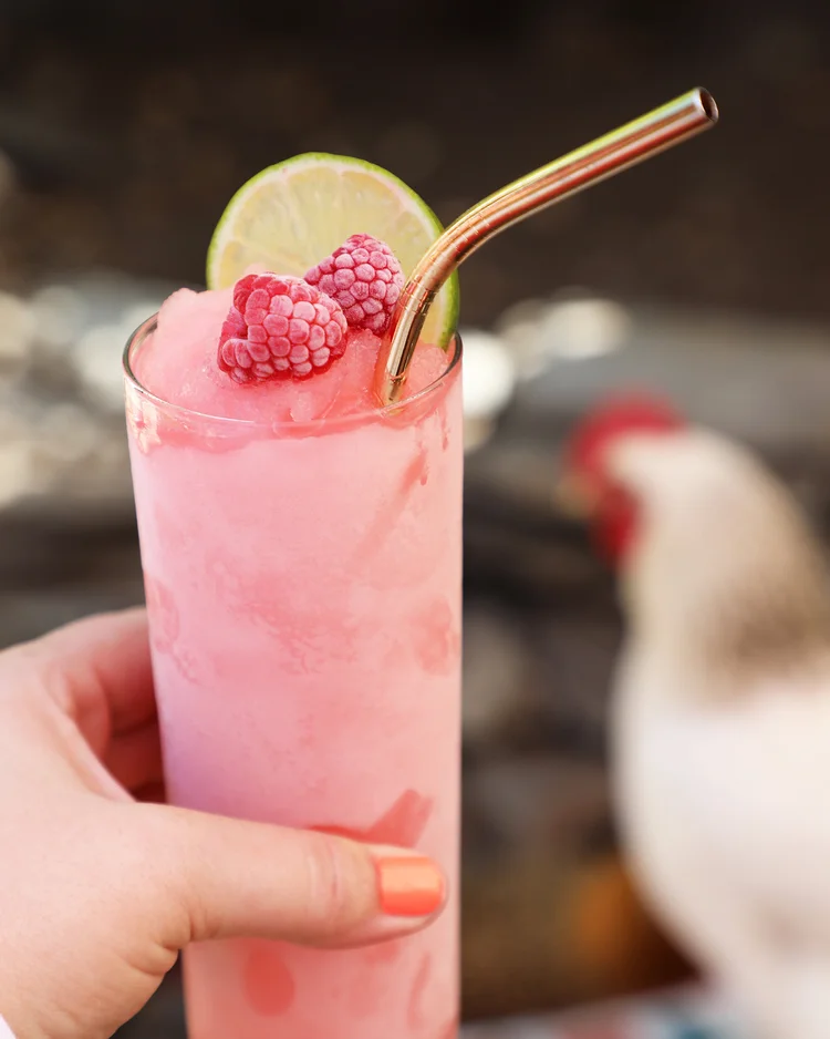 Frozen Raspberry Paloma — Drinking with Chickens- craft cocktail recipes