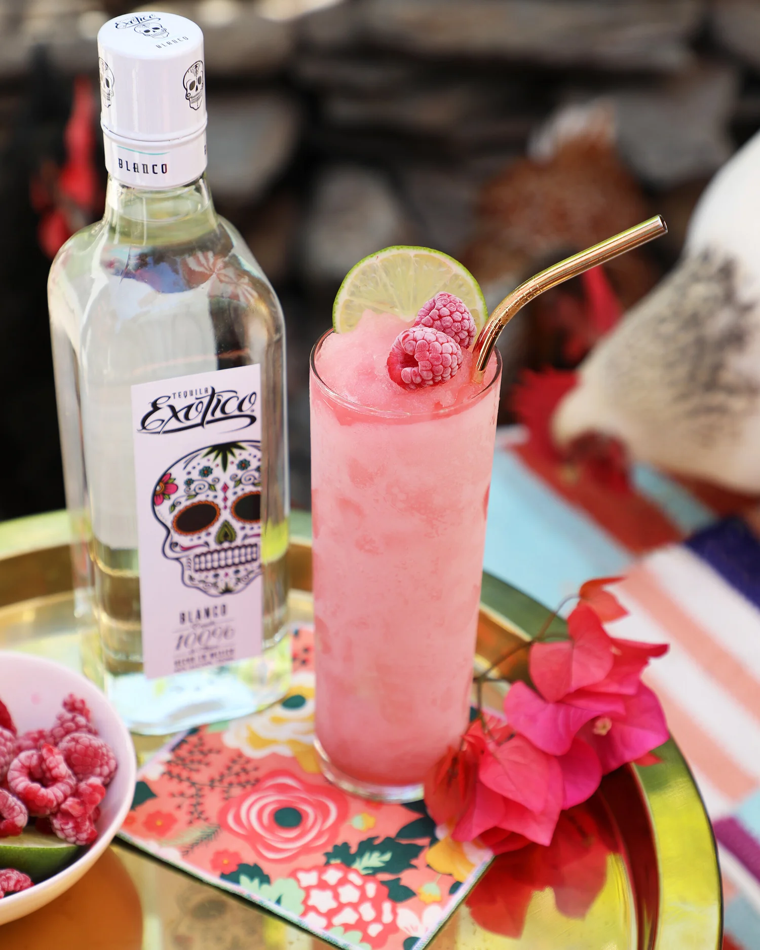 Frozen Raspberry Paloma — Drinking with Chickens- craft cocktail recipes