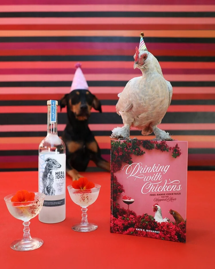 DWC Book Launch Party with Hera the Dog Vodka and Friends — Drinking ...
