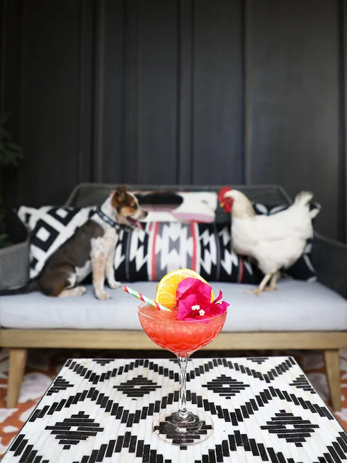 Red Rooster Margarita — Drinking with Chickens- craft cocktail recipes