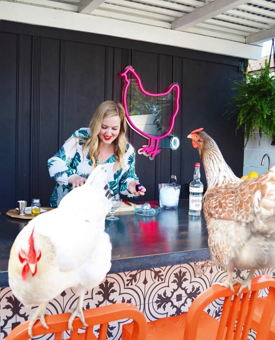 National Drinking with Chickens Day — Drinking with Chickens- craft ...