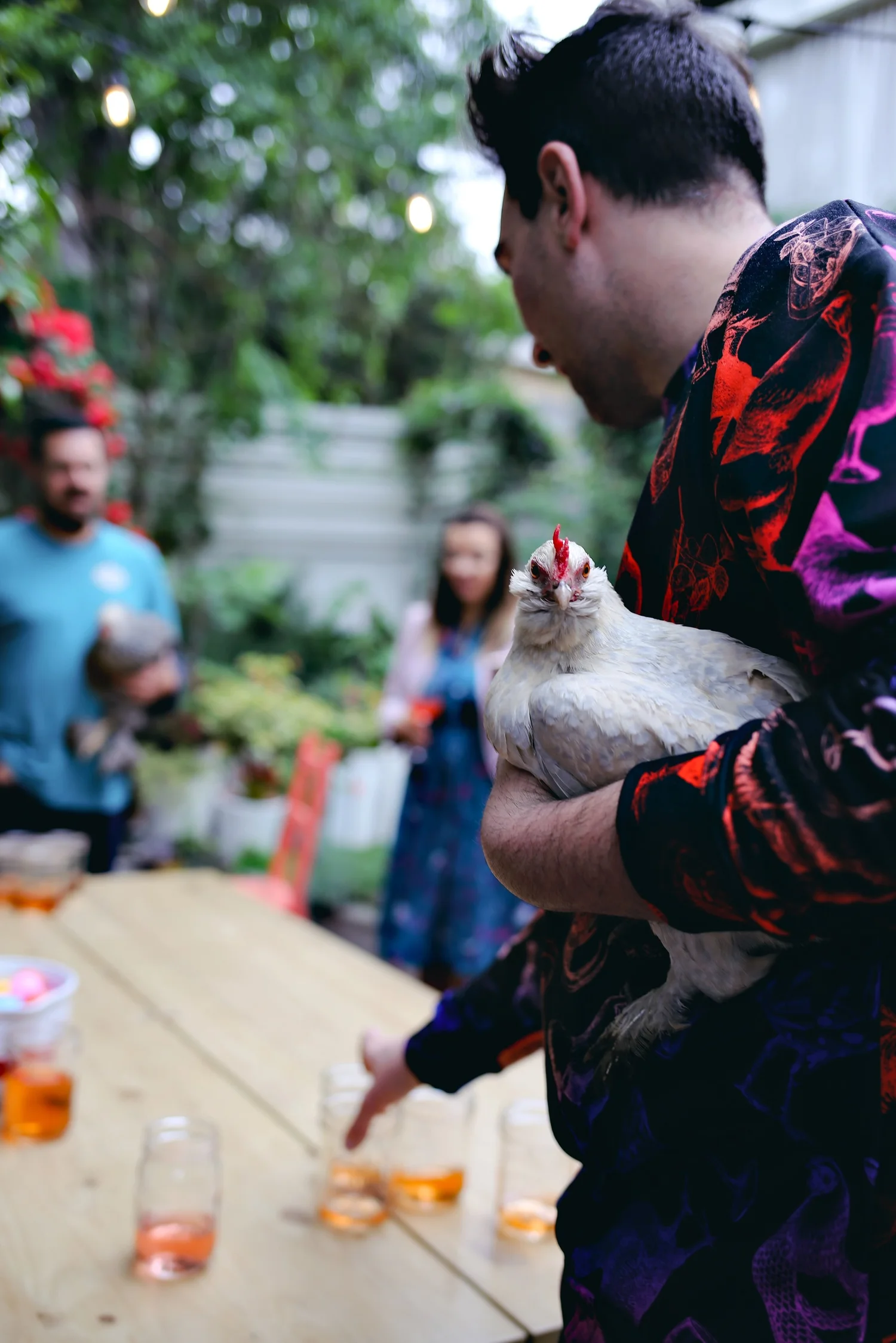 National Drinking with Chickens Day — Drinking with Chickens- craft ...