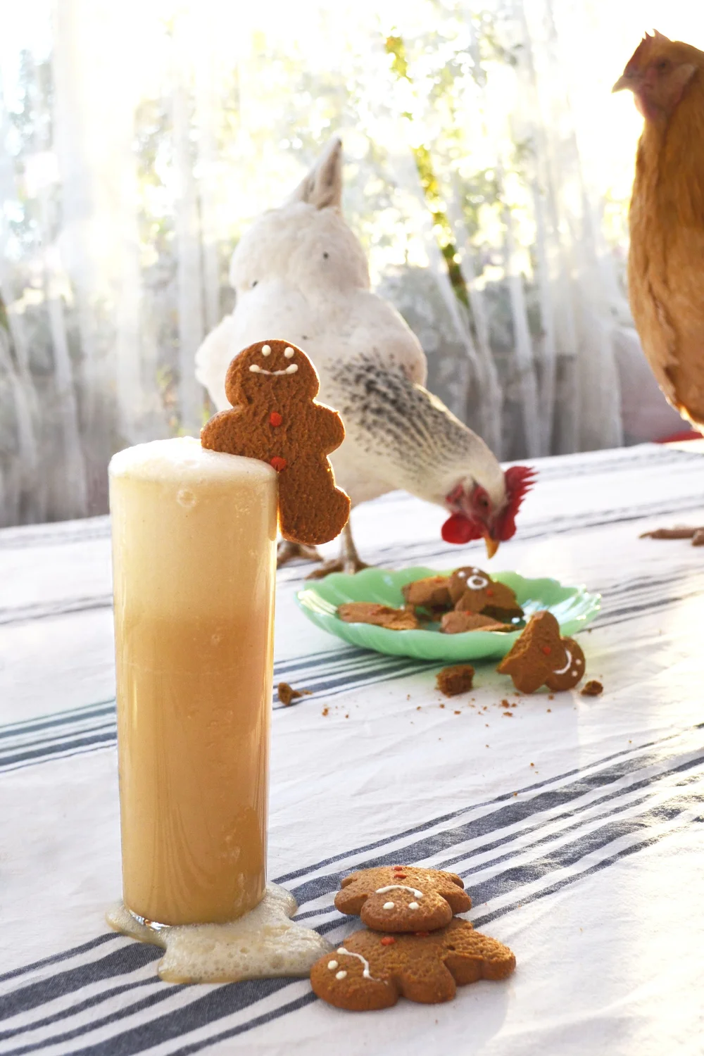 GINgerbread Man Fizz — Drinking with Chickens- craft cocktail recipes
