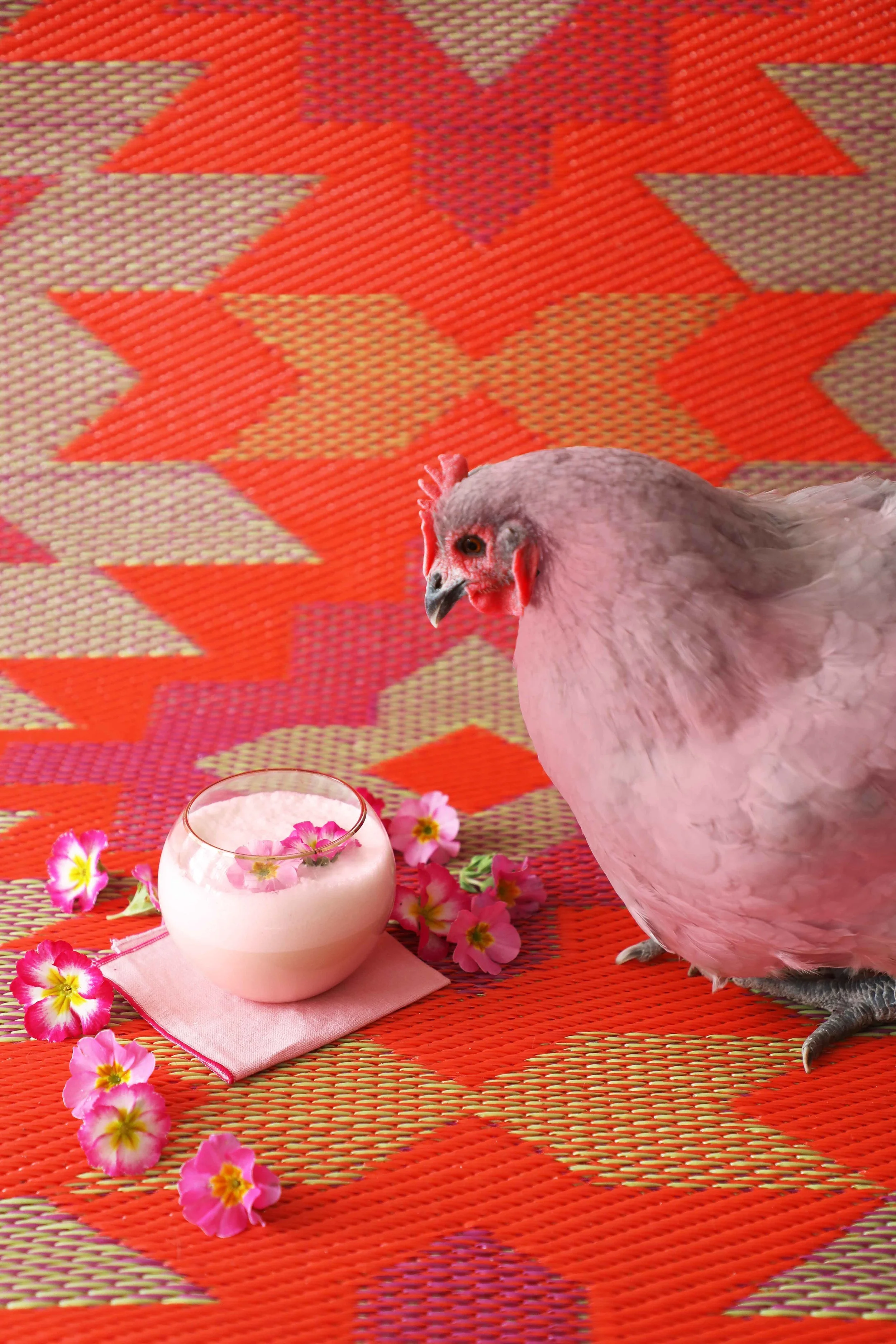 Pink Nog — Drinking with Chickens- craft cocktail recipes