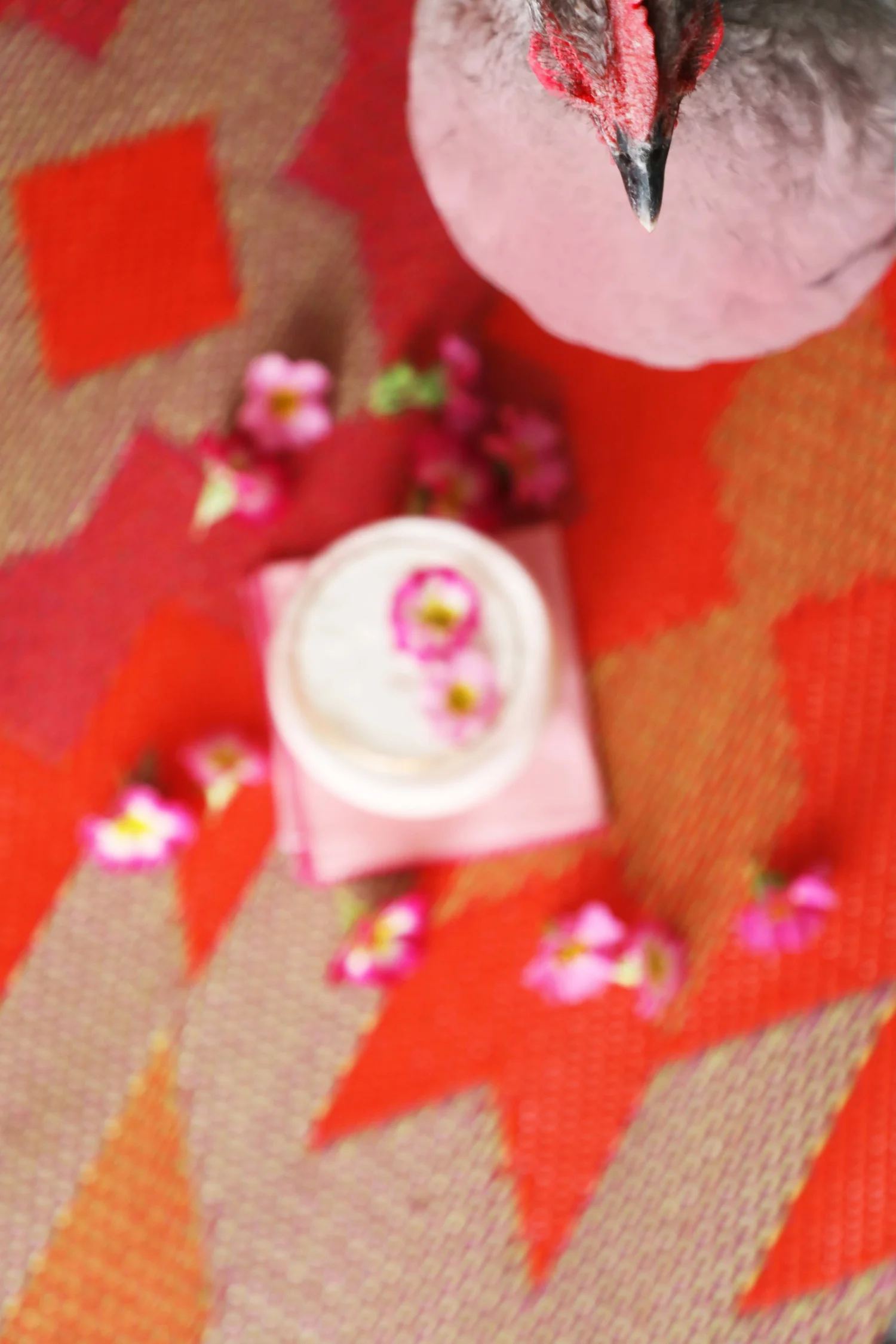 Pink Nog — Drinking with Chickens- craft cocktail recipes