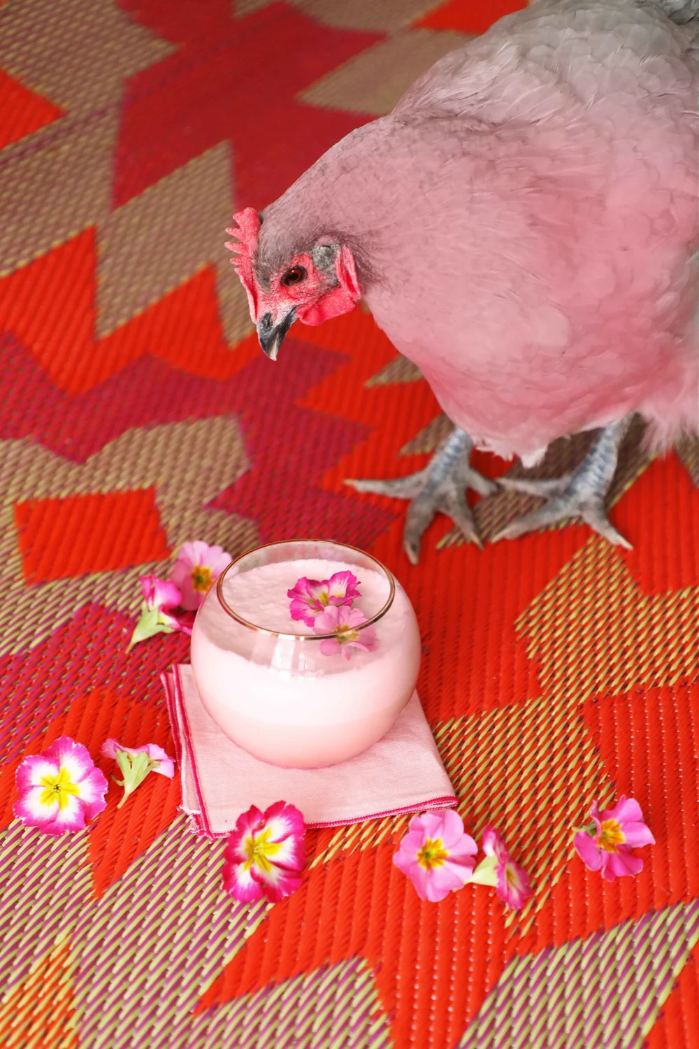 Pink Nog — Drinking with Chickens- craft cocktail recipes