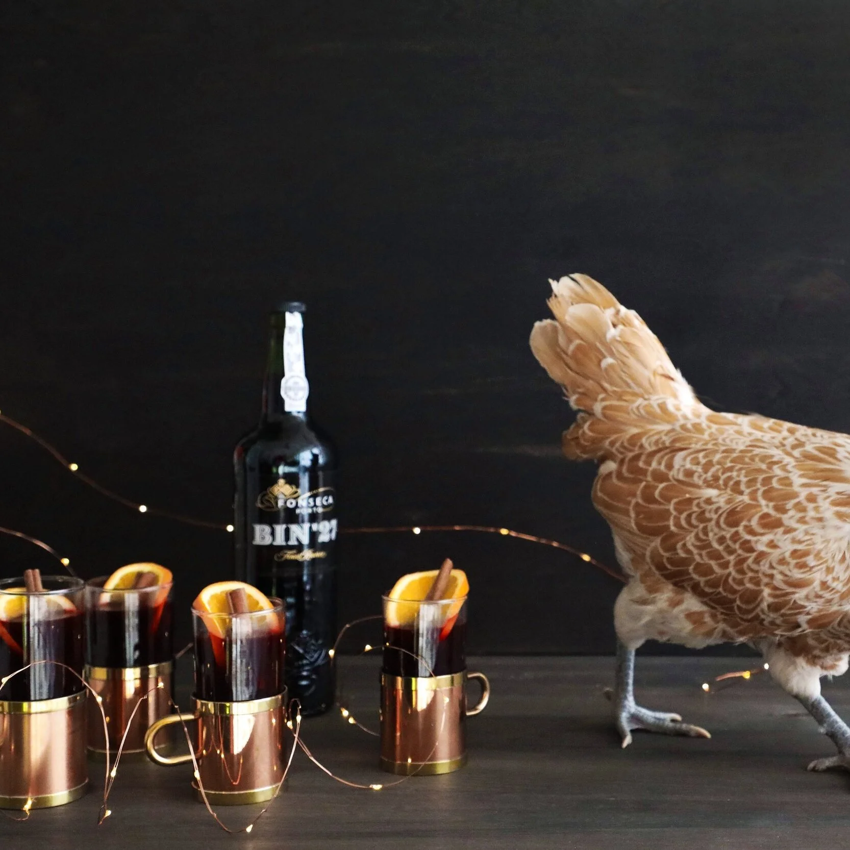 Spiced Chocolate and Orange Mulled Port — Drinking with Chickens- craft ...