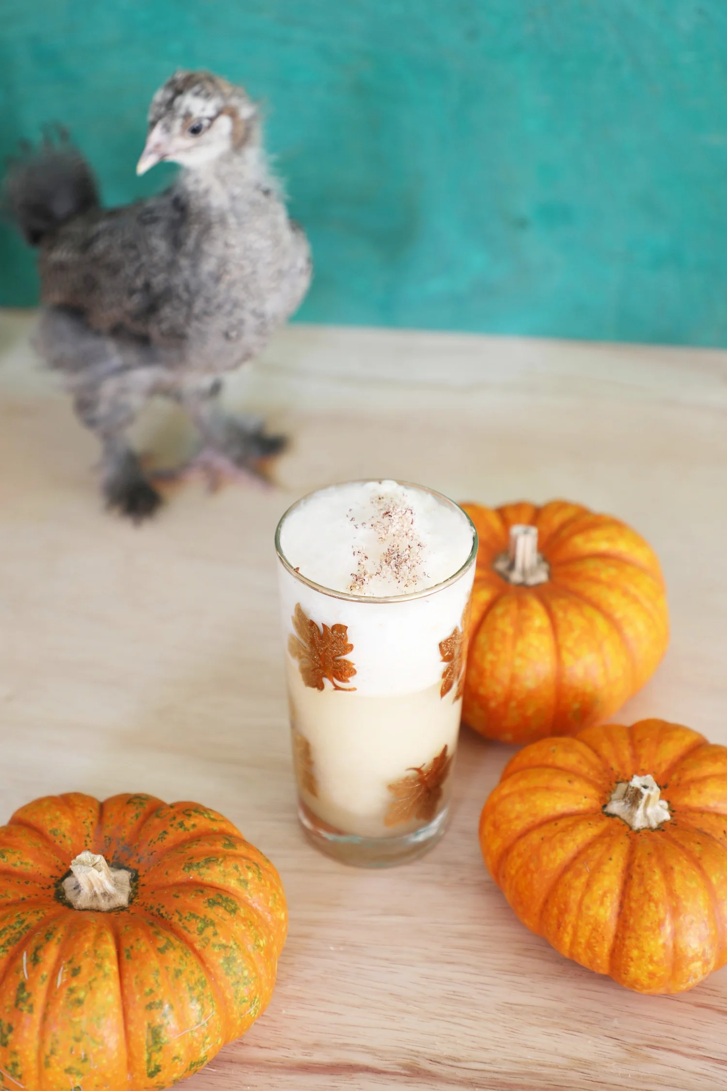 Four Spice Pumpkin Fizz — Drinking with Chickens- craft cocktail recipes