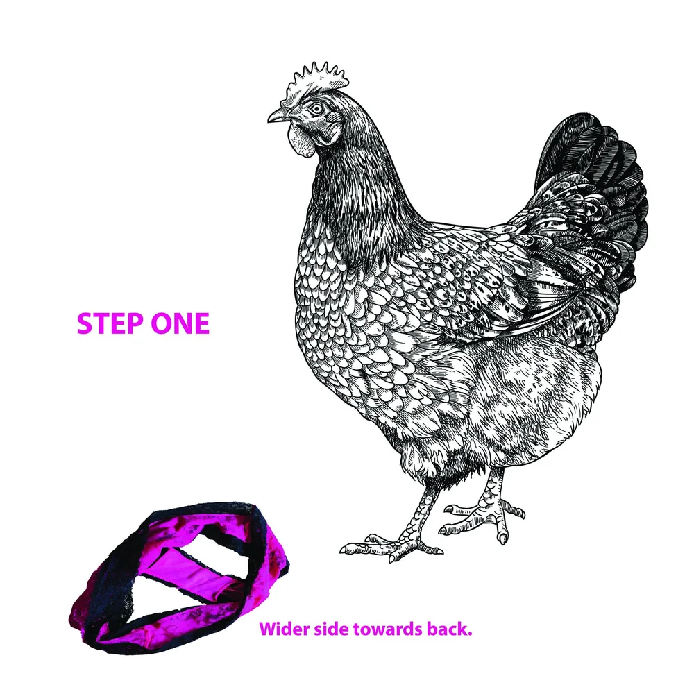 Chicken Lingerie — Drinking with Chickens- craft cocktail recipes