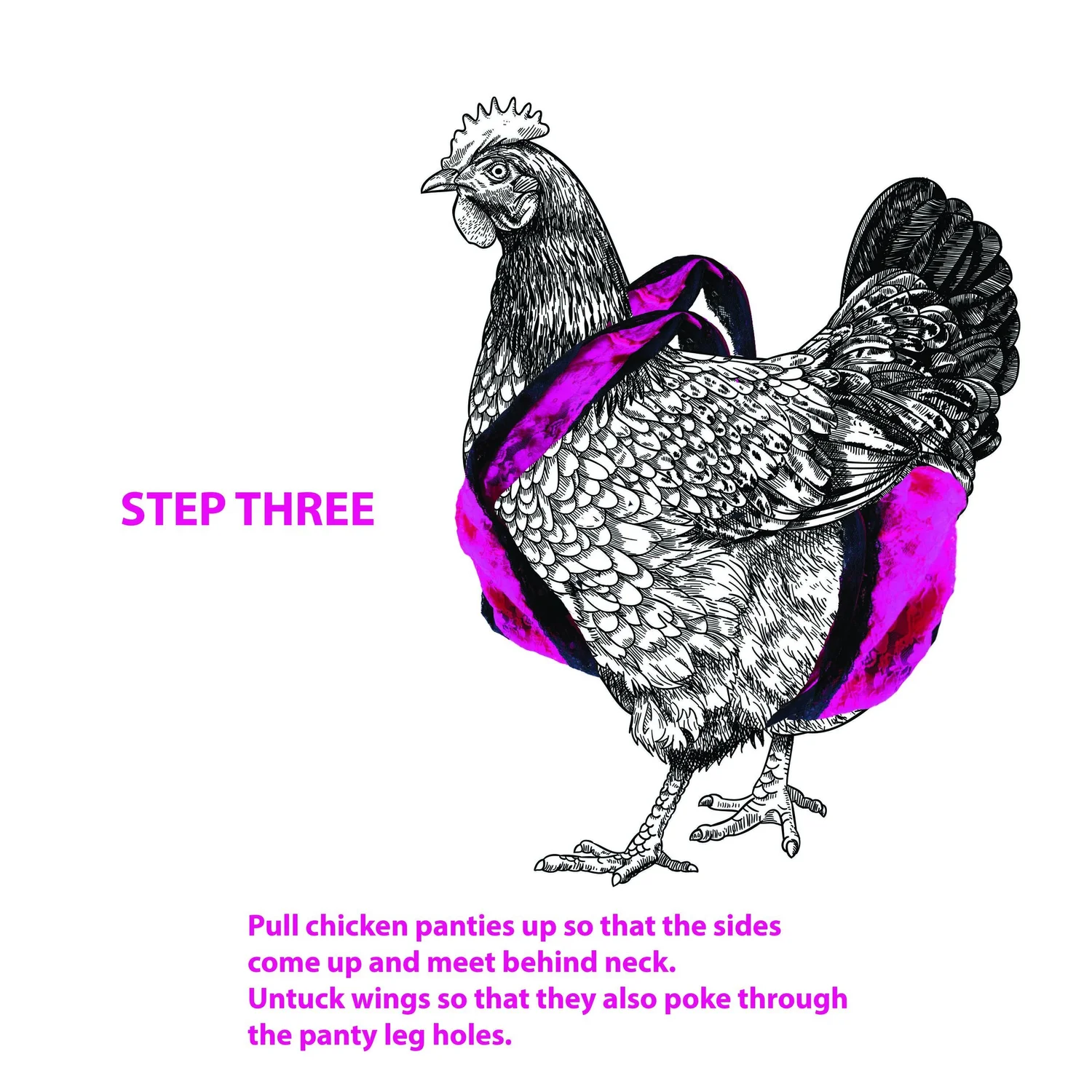 Chicken Lingerie — Drinking with Chickens- craft cocktail recipes