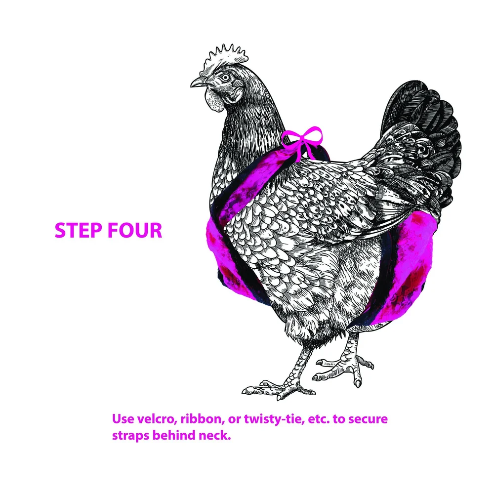 Chicken Lingerie — Drinking with Chickens- craft cocktail recipes