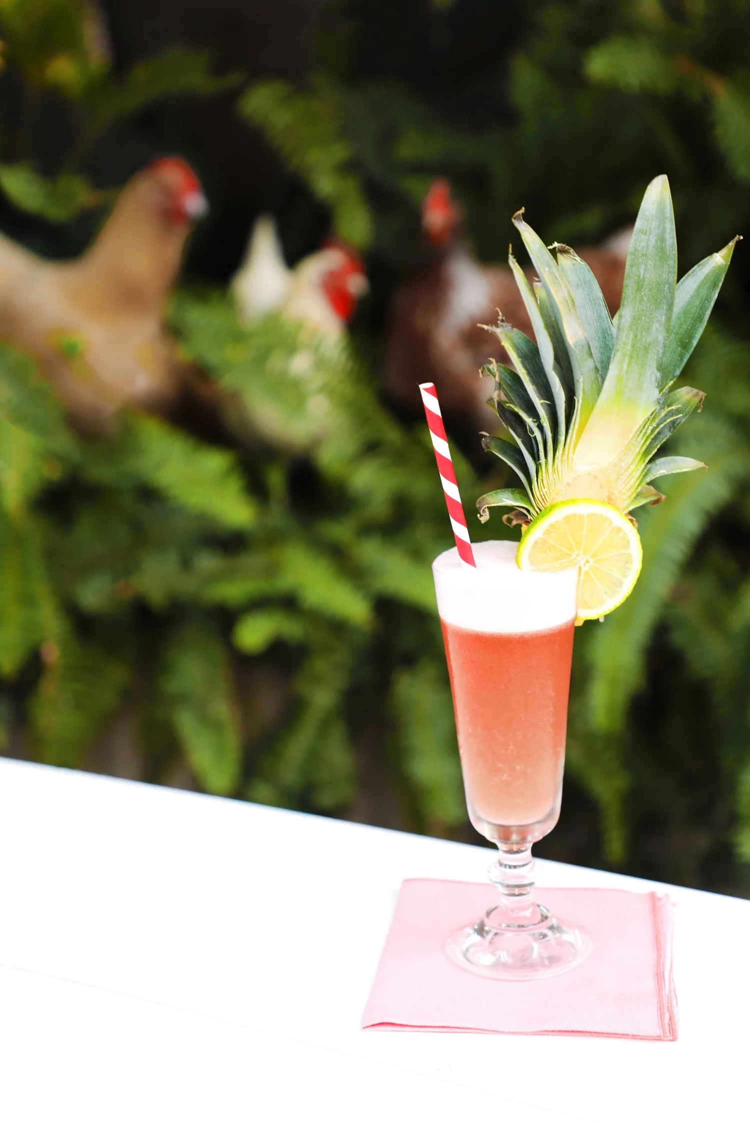 The Suburban Jungle Bird — Drinking with Chickens- craft cocktail recipes