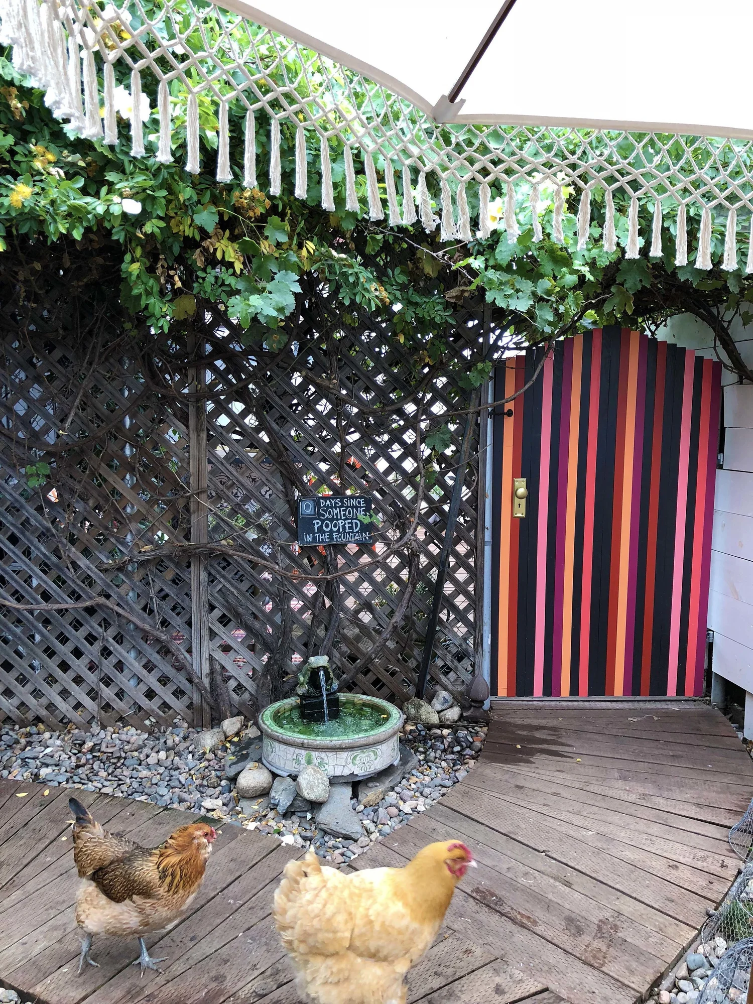 Coop 4.0 — Drinking with Chickens- craft cocktail recipes