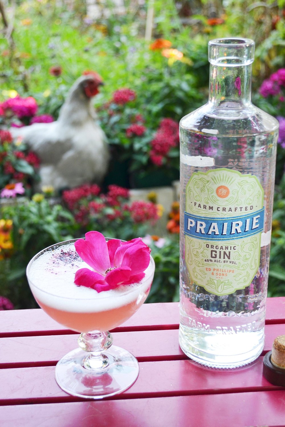 Petal Pink Gin Fizz with Prairie Organic — Drinking with Chickens ...