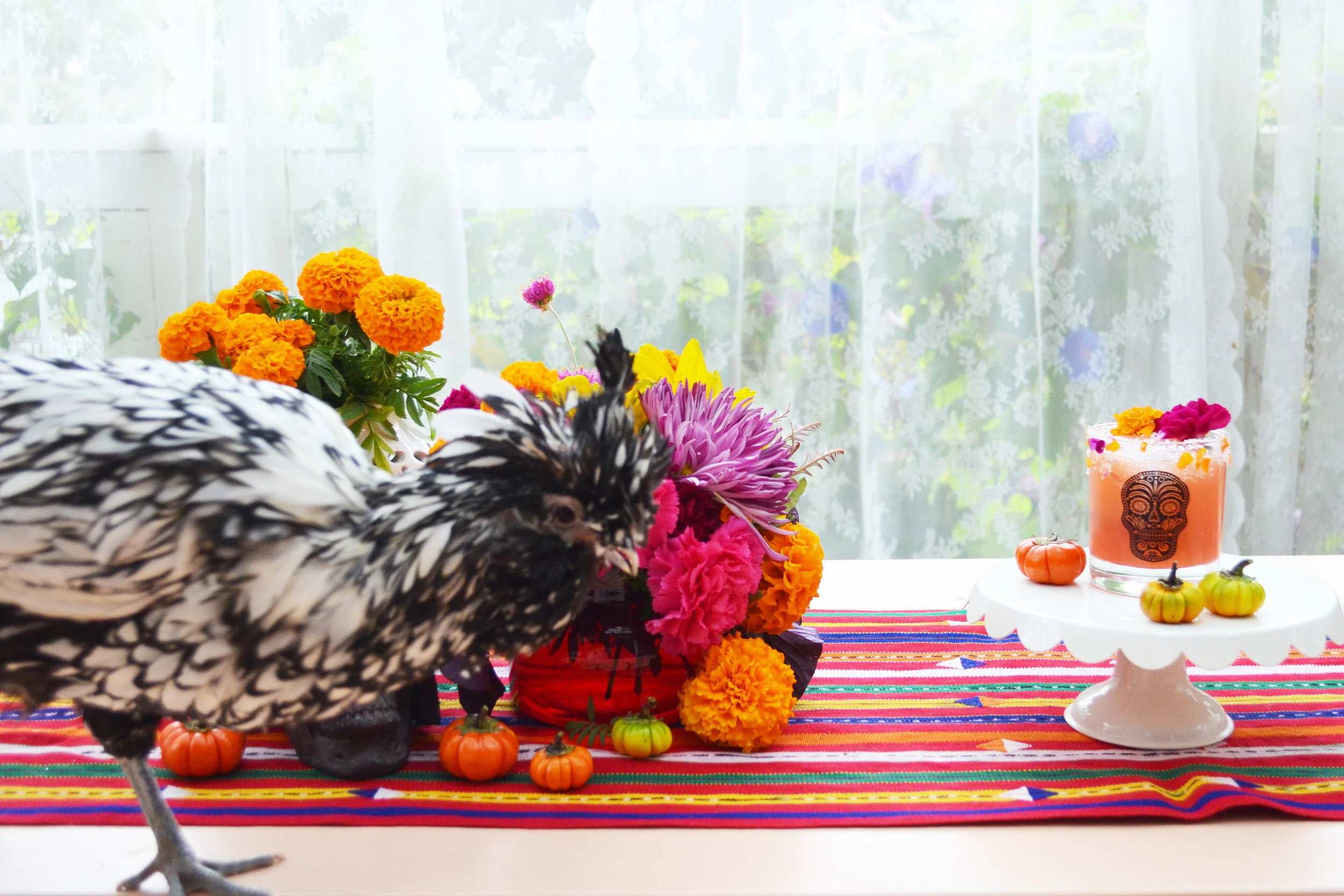 Sangre de las Flores — Drinking with Chickens- craft cocktail recipes