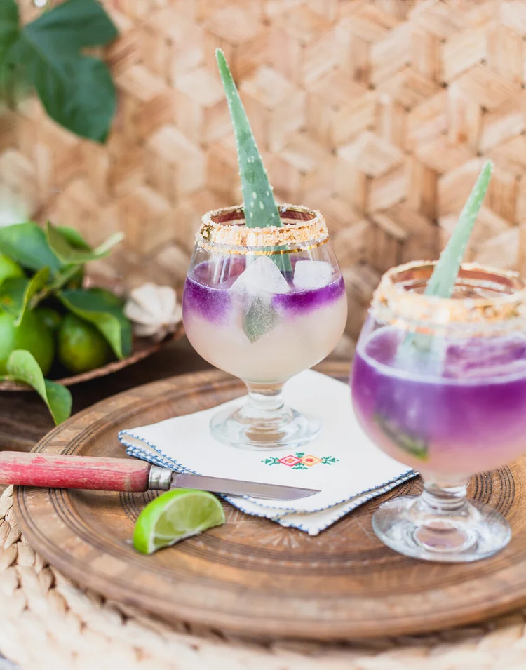 Baja Sunset Cocktail — Drinking with Chickens- craft cocktail recipes